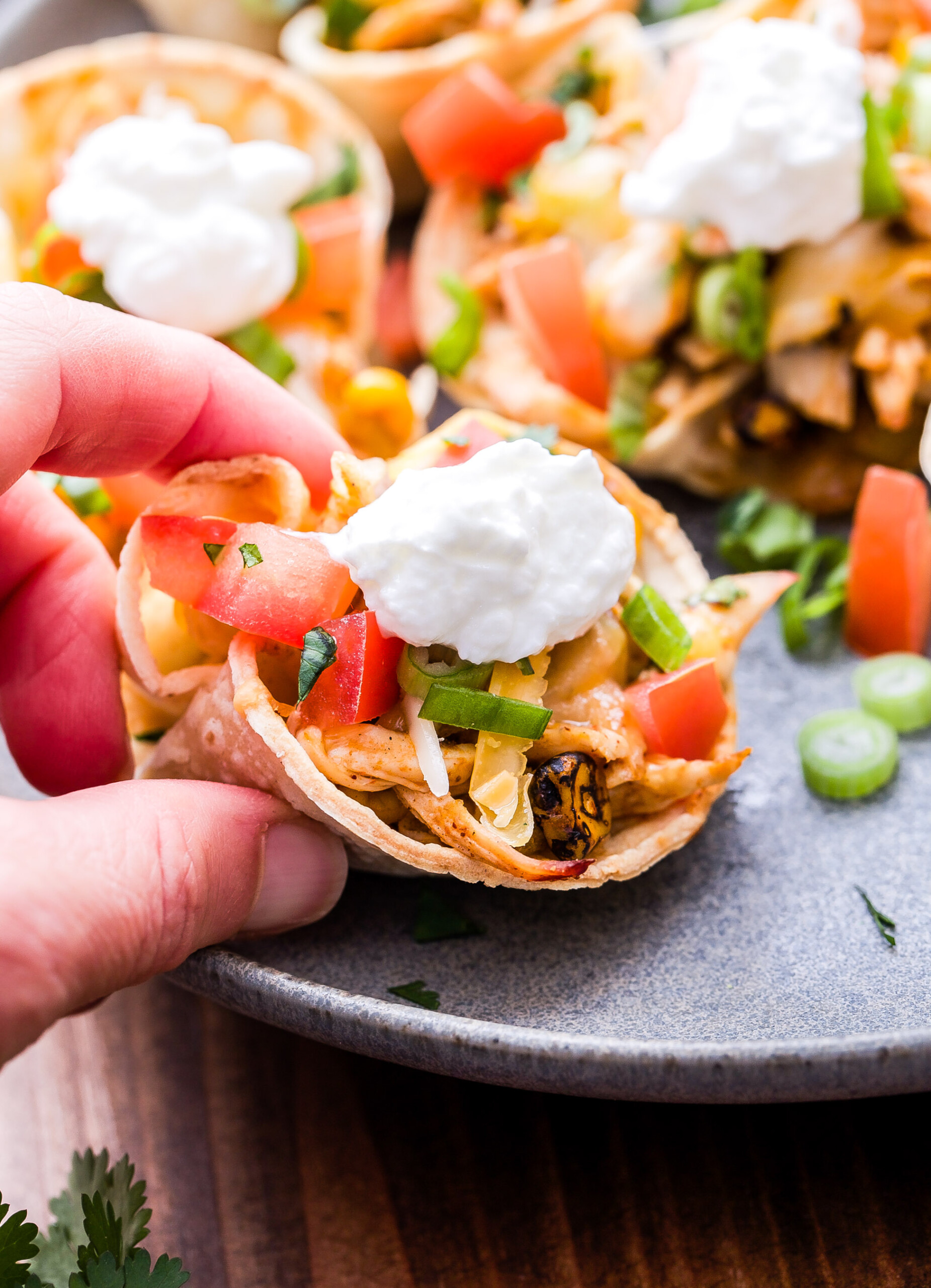 Mini Chicken Enchilada Cups - Recipe Runner