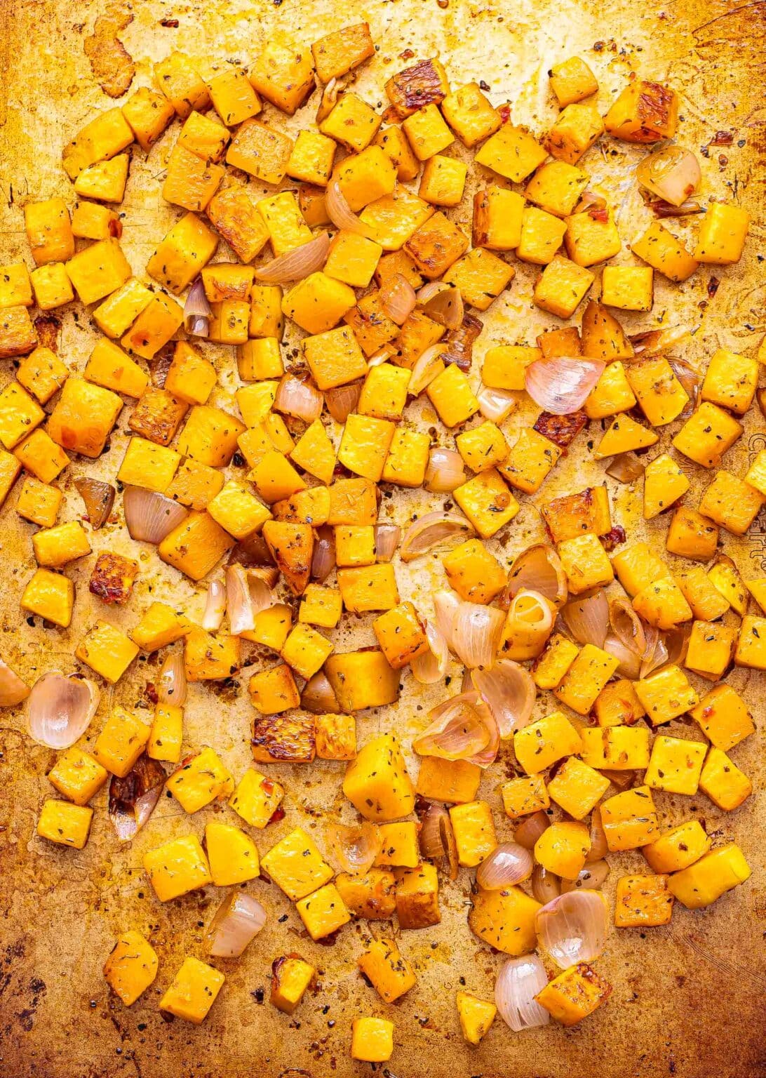 Butternut Squash Ricotta Pasta - Recipe Runner